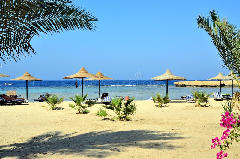 Marsa alam stock photo. Image of tourism, sand, cairo - 26874862
