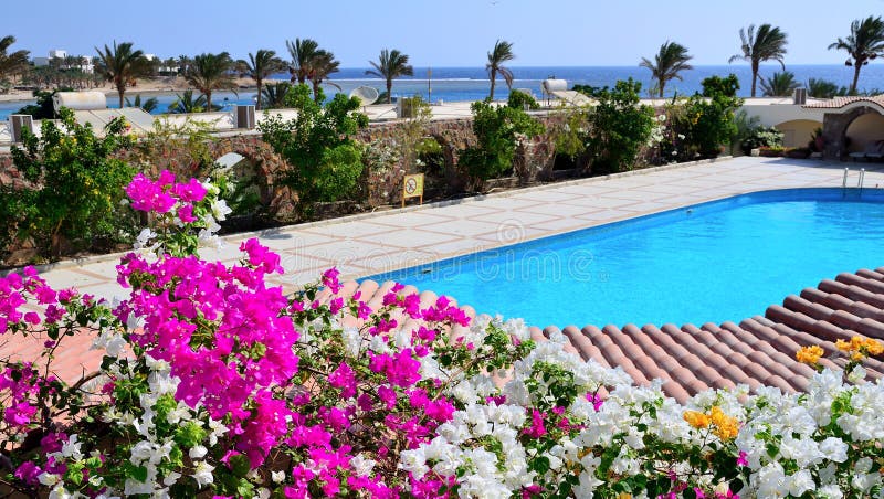 Marsa alam stock photo. Image of tropic, panorama, parasols - 27453988