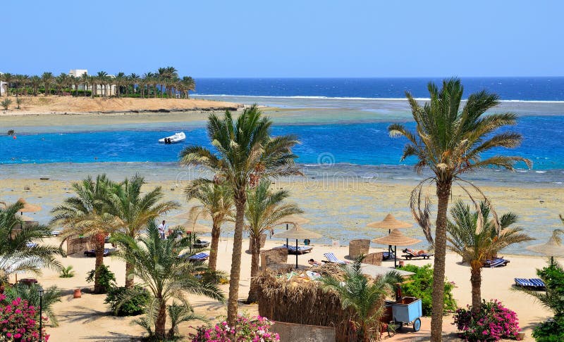 Marsa alam stock photo. Image of tourism, sand, cairo - 26874862