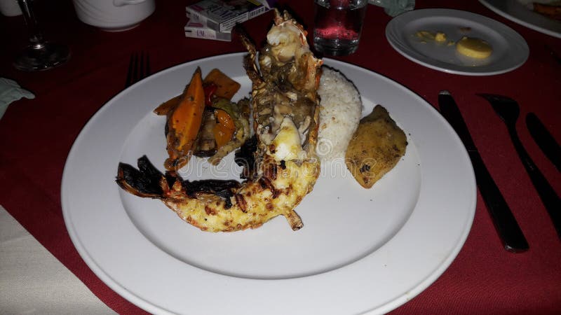 Marsa Alam, Egypt stock photo. Image of aromatic, cook - 236468764