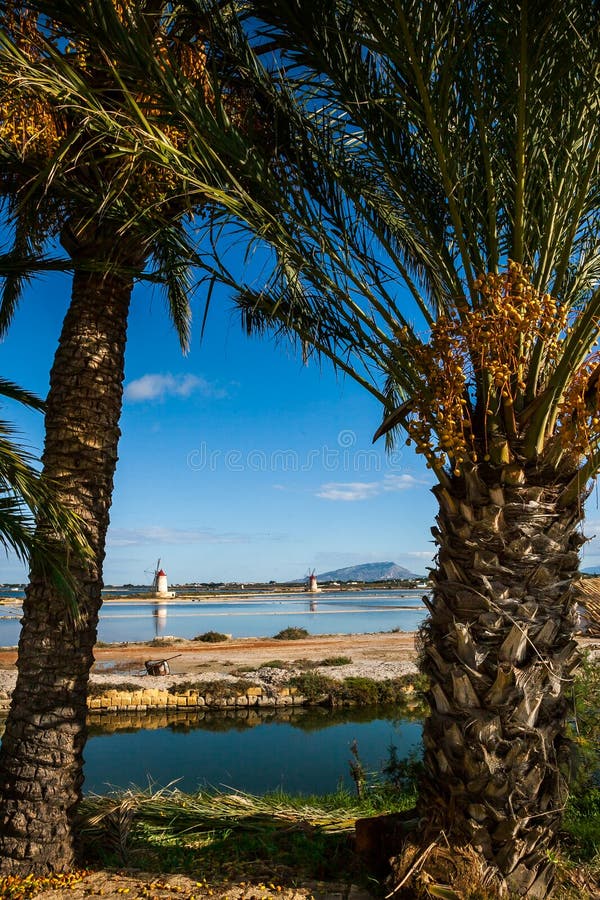 Marsala, Trapani, Sicily, Italy - Old Windmill and Saltwork Stock Image ...