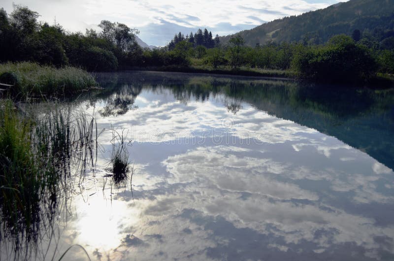 Marsh stock image. Image of nature, marsh, peaceful, grass - 26238321