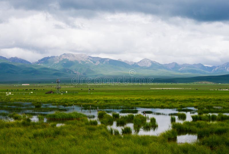 Marsh stock image. Image of mount, skyline, water, summer - 26673857