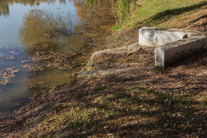 Marsh Algae. Green Models of Algae on the Water. Bog with Organic ...