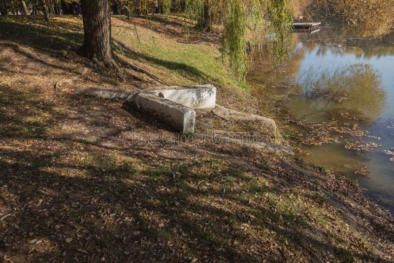Marsh Algae. Green Models of Algae on the Water. Bog with Organic ...