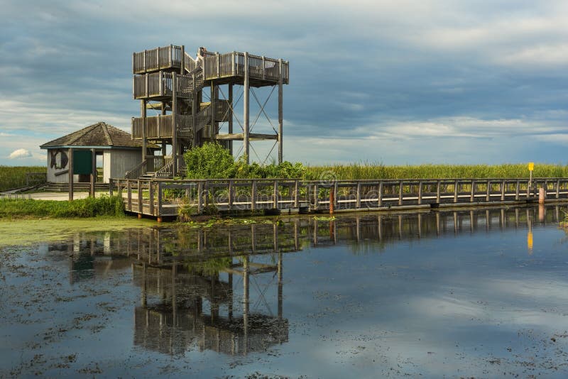Marsh Boardwalk stock image. Image of pelee, ontario - 78790857