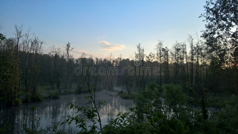 Marsh at dawn stock photo. Image of glare, russia, lake - 72674208