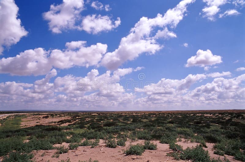Marsh desert stock image. Image of china, wild, zoology - 12632839