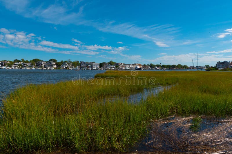 Marsh Grass Along an Inlet stock photo. Image of marsh - 76670378