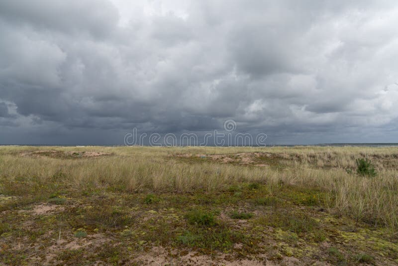 Marsh Grass and Sand Dunes on the Coast Under an Overcast and Ominous ...