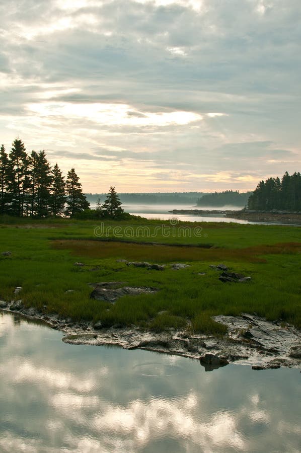Marsh, Lake and Forest in Lights of Sunrise Stock Photo - Image of ...