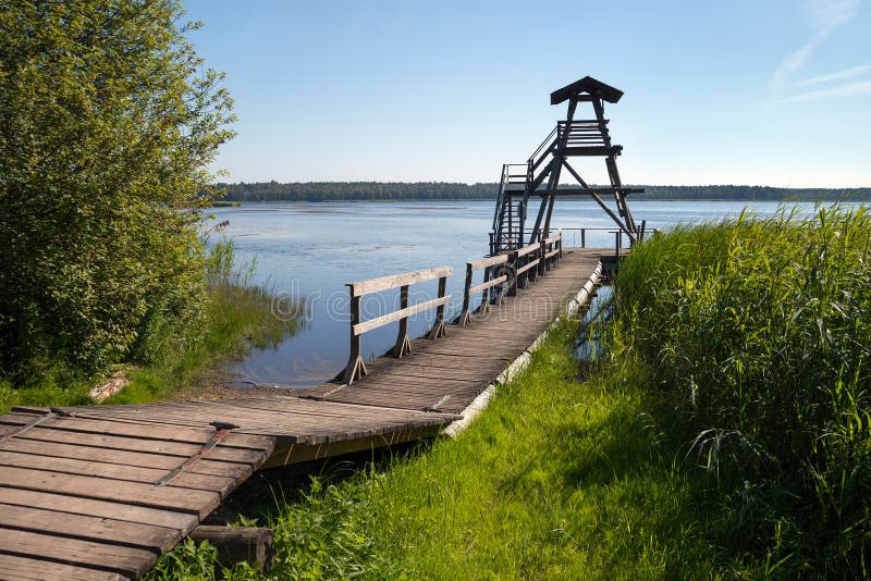 Marsh lake with tower stock image. Image of green, watch - 153823069