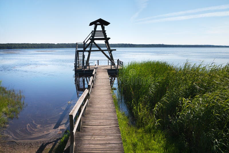 Marsh lake with tower stock photo. Image of summer, marsh - 161861126