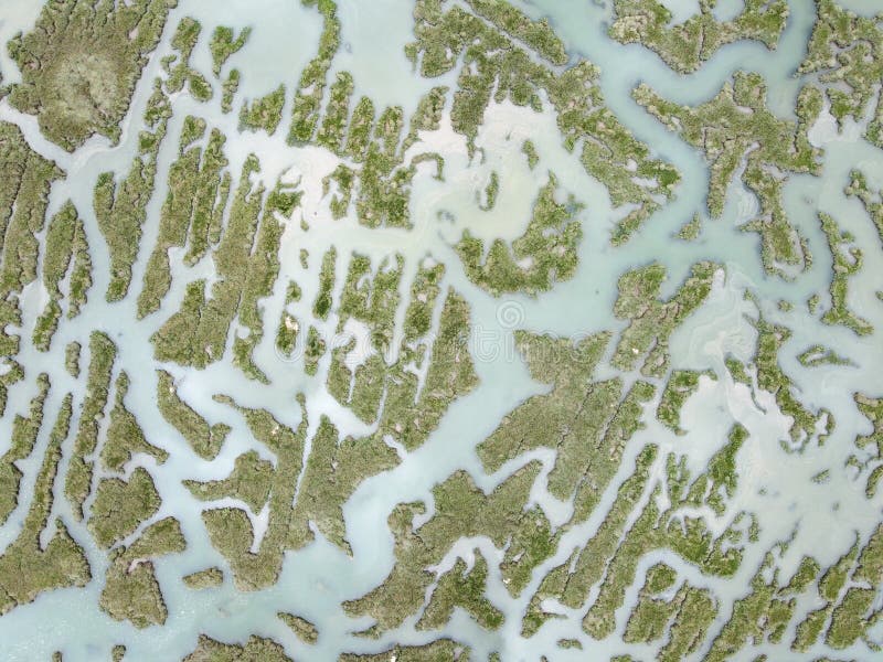 Marsh land from above stock photo. Image of peat, ecosystem - 203356446