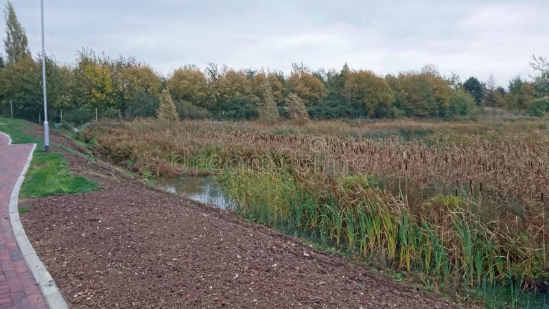 Marsh Land in Kent stock photo. Image of kent, industries - 130292490