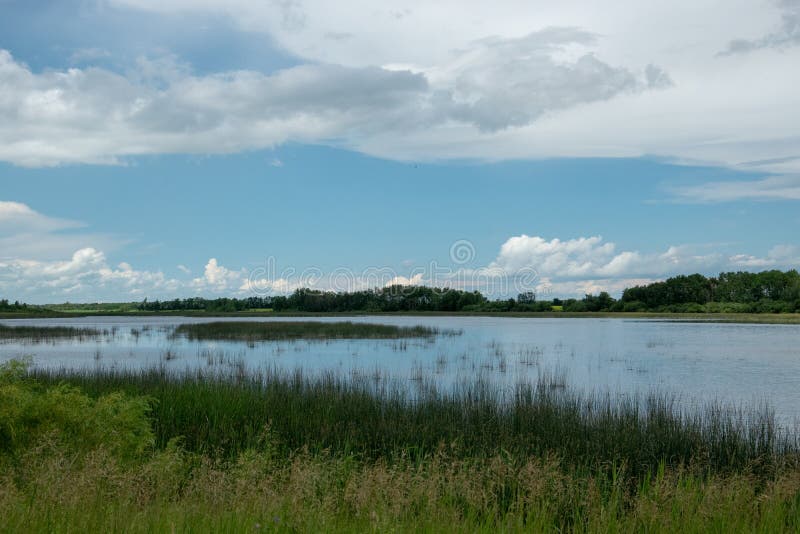 Marsh Land in Saskatchewan, Canada. Stock Image - Image of saskatchewan ...