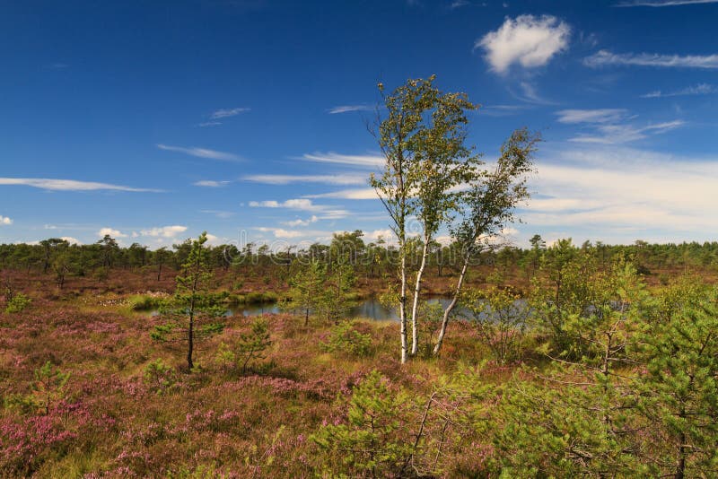 Marsh Landscape at the Low Mountain Range Rhoen Stock Photo - Image of ...