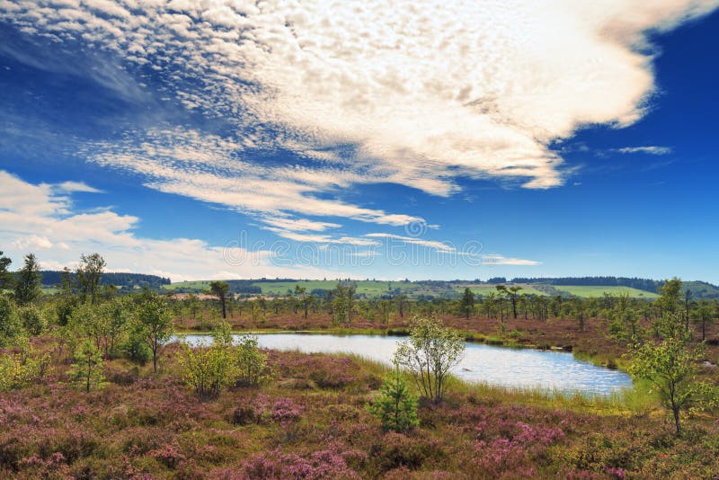 Marsh Landscape at the Low Mountain Range Rhoen Stock Image - Image of ...