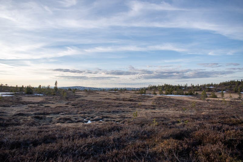Marsh Landscape Om Hedmarksvidda Hedmark County Norway Stock Image ...
