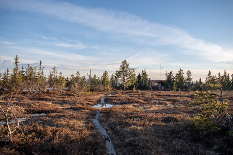 Marsh Landscape Om Hedmarksvidda Hedmark County Norway Stock Image ...