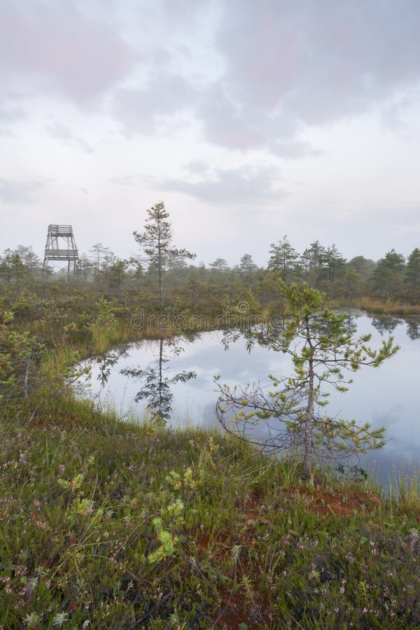 Marsh Landscape with Pond and Watching Tower Stock Image - Image of ...