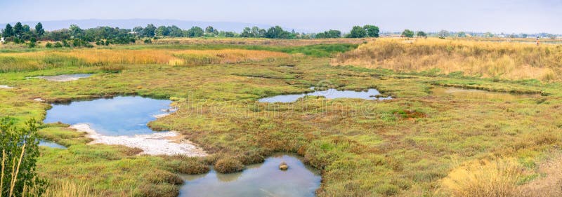 Marsh Landscape, Shoreline Park, Mountain View, California Stock Photo ...