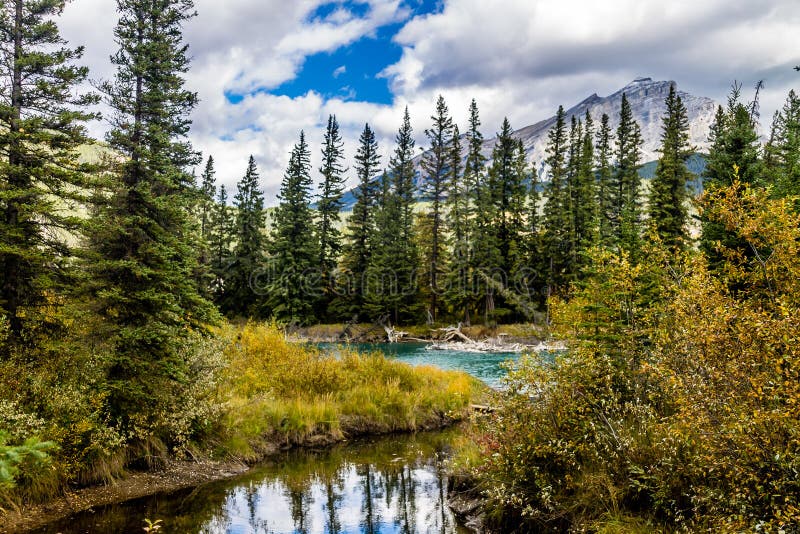 Marsh Loop, Banff National Park, Alberta, Canada Stock Image - Image of ...