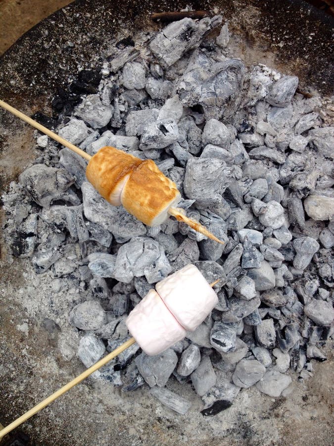 Marsh Mallows Toasting on a Fire Stock Image - Image of camping ...