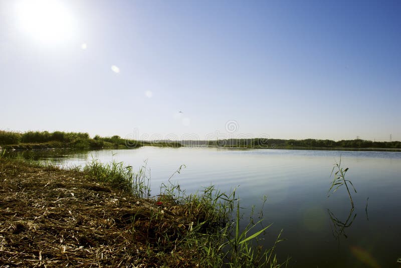 Marsh at morning stock image. Image of outdoor, river - 76357083
