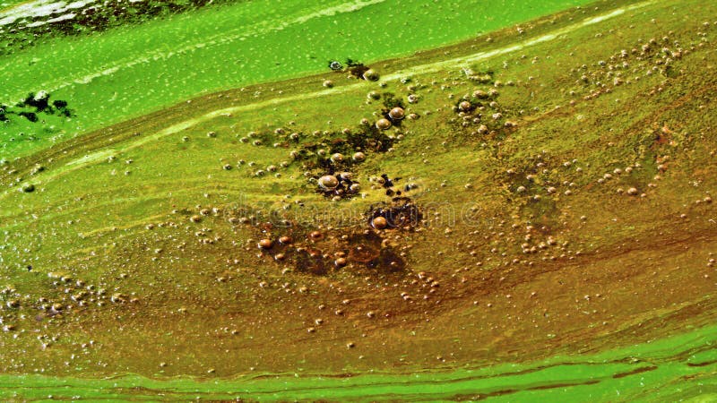 Mud in marsh stock image. Image of rural, water, ground - 5400703