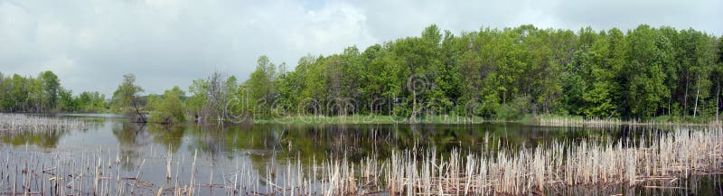 Marsh pond panorama stock image. Image of landscape, leisure - 14427749