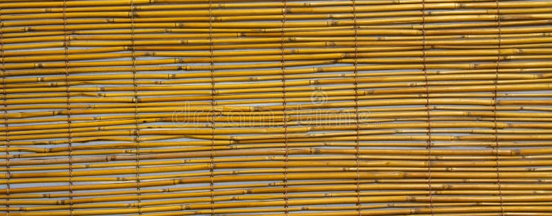 Marsh Reed Barrier for Gardens Stock Photo - Image of barrier, hike ...