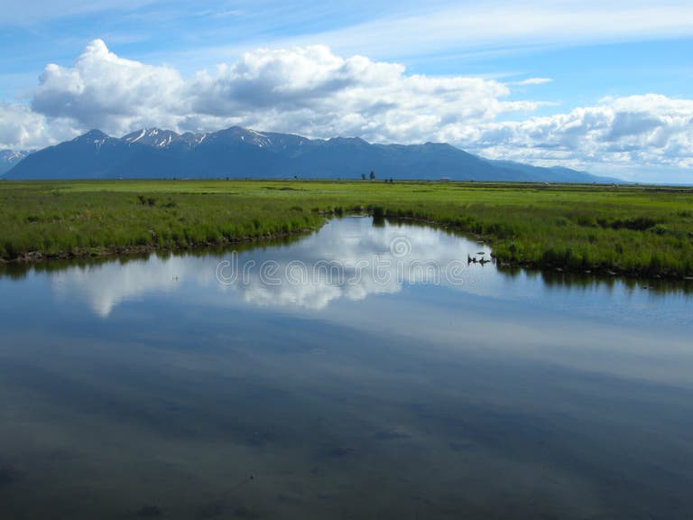 Marsh reflections stock image. Image of blue, water, marsh - 7694687