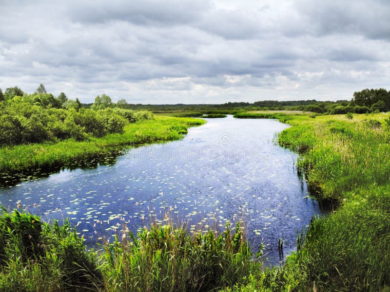 Marsh River Under Cloudy Sky Stock Image - Image of relaxation, river ...