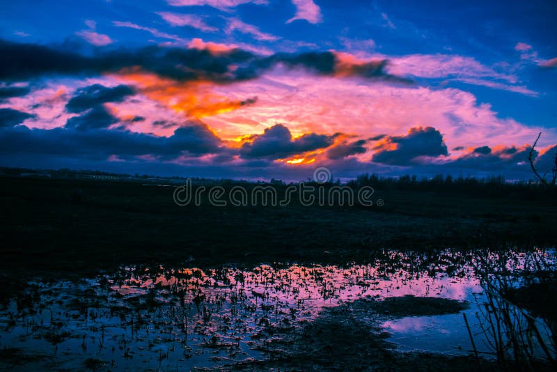 Marsh road sunset stock photo. Image of marsh, lynn - 239764024