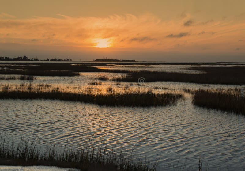 Marsh at Sunrise stock photo. Image of grass, relax, landscape - 65447284