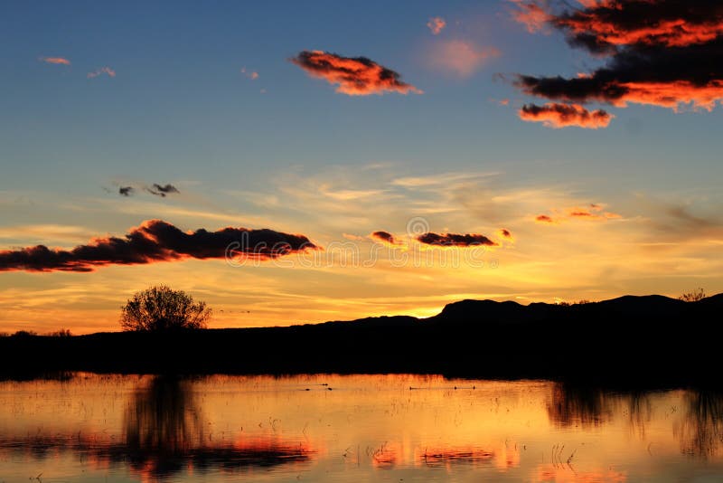 Marsh Sunset stock image. Image of blue, lake, breathtaking - 21852347