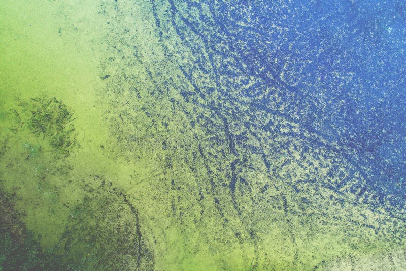 Marsh with Tina Texture. Top View Stock Photo - Image of background ...