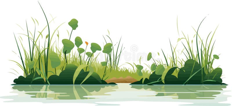 Marsh Vegetation Set Isolated Vector Style Illustration Stock Vector ...