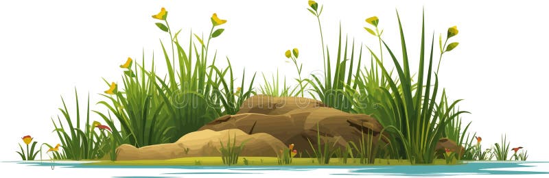 Marsh Vegetation Set Isolated Vector Style Illustration Stock Vector ...