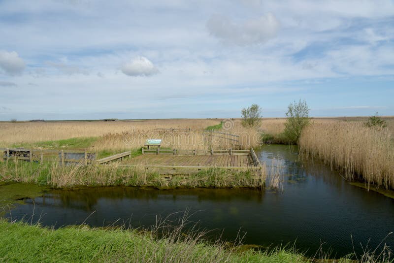 Cley Marshes Nature Reserve North Norfolk. Stock Image - Image of walk ...