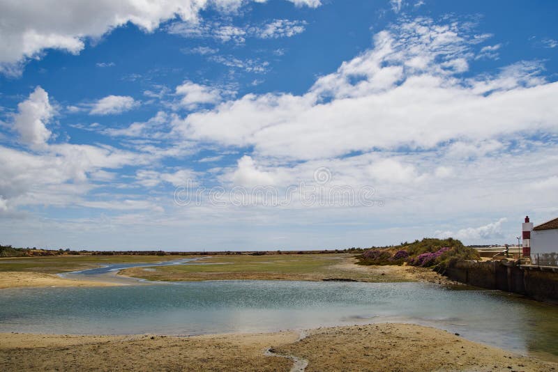 Marshes in the Nature Reserve Ria Formosa Stock Image - Image of ocean ...