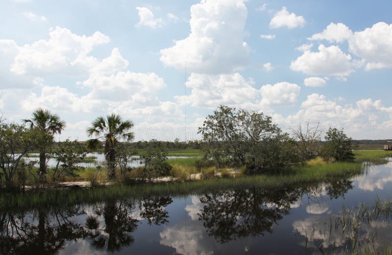 Marshes of north Florida stock photo. Image of clouds - 125076464