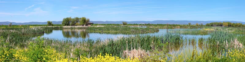 Marshes in South Oregon. stock image. Image of conservation - 19947235