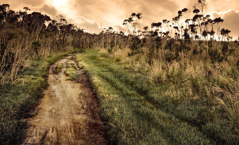 Marshland stock image. Image of banisters, common, daytime - 77029463