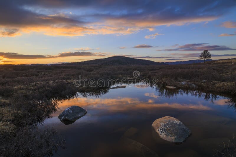 Marshland on the Background of Mountain Scenery Stock Photo - Image of ...