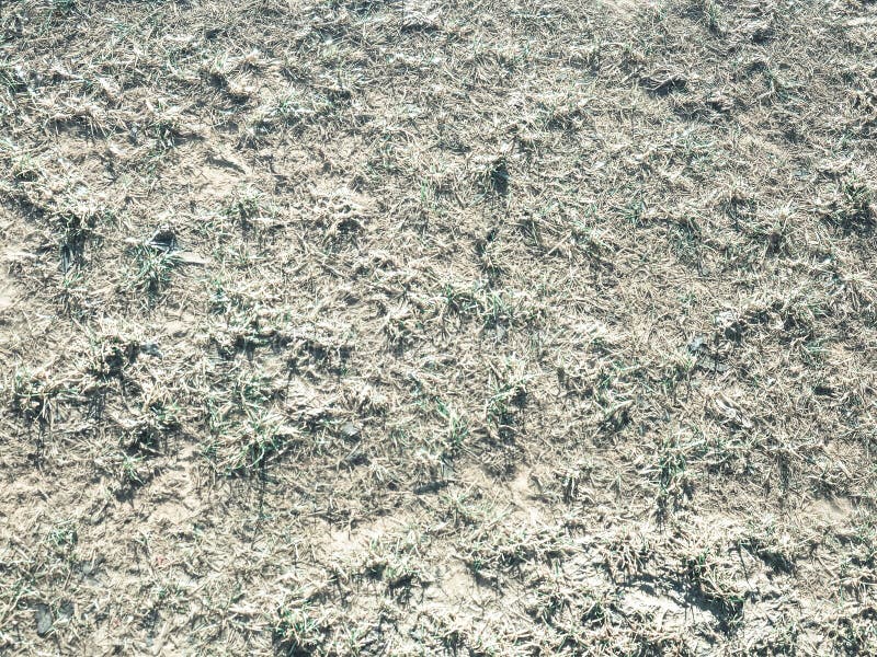 Marshland background stock photo. Image of green, tundra - 53784188