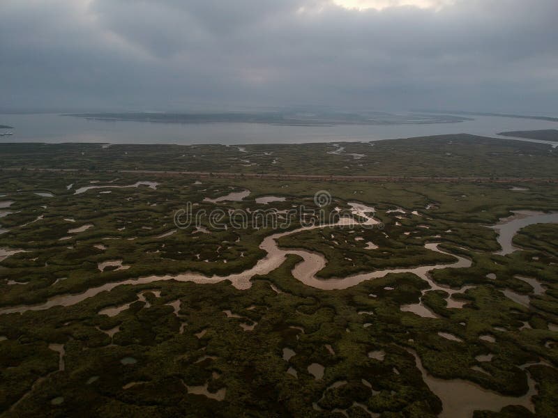 Marshland and coast line stock photo. Image of sand - 177494292