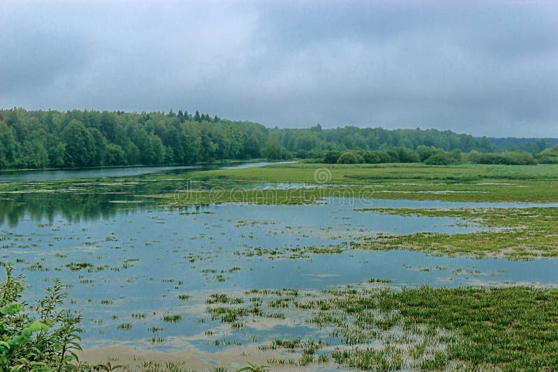 Marshland stock photo. Image of grass, clouds, environment - 40267608