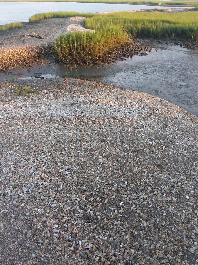 Marshland Inlet Water Nature Coastal Stock Photo - Image of water ...